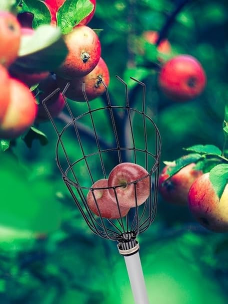 Buy Falcon Fruit Gatherer Without Handle FFG-226 at Hardwarepasal.com ...